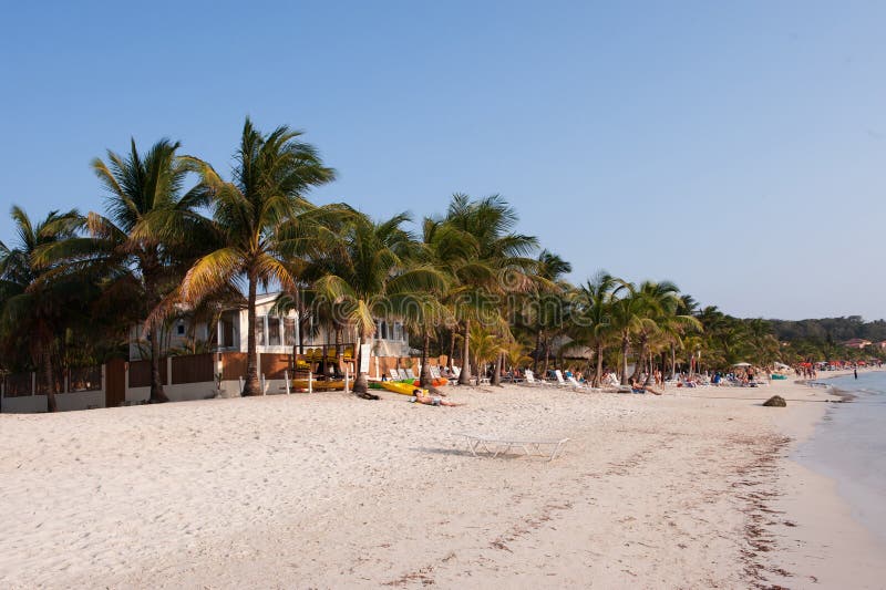 Playa De Honduras Roatan Y Mar Tropical Imagen de archivo editorial ...