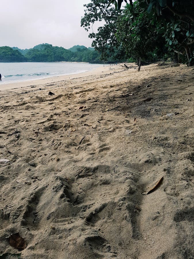 Playa De Las Vacaciones En Java Oriental, Indonesia Imagen de archivo ...