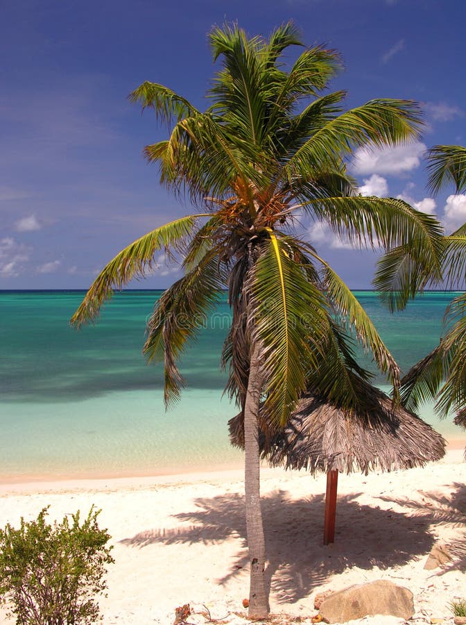 Playa de los Cocos imagen de archivo. Imagen de caliente - 198251
