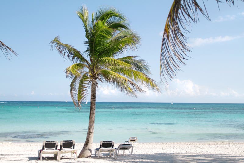 Playa De México Del Maya De Riviera Foto de archivo - Imagen de ocio ...