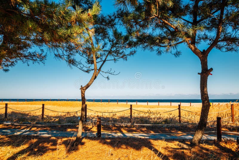 Playa De Mangsang En Corea Del Dongo Imagen de archivo - Imagen de ...