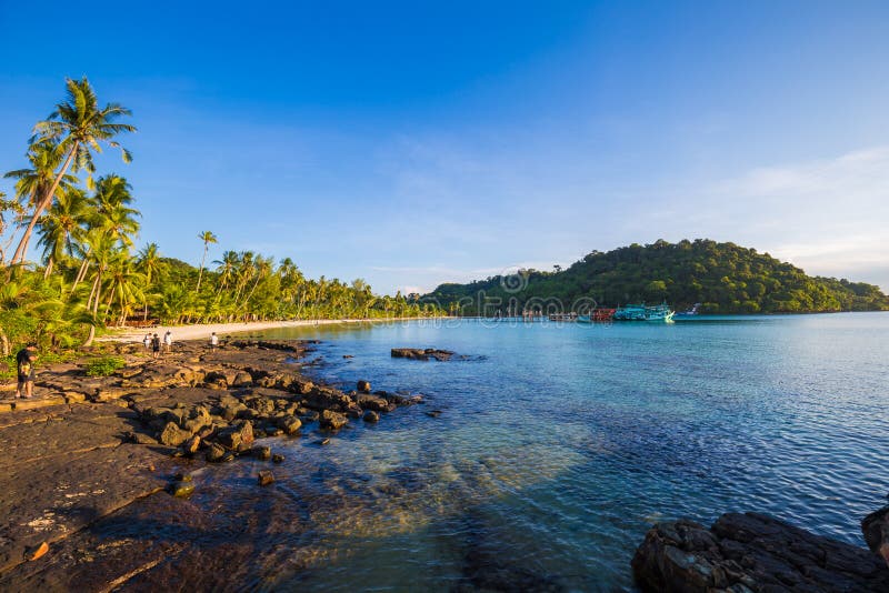Playa De Mar Tranquila Con Arena Y Playa Rocosa Y Palmera De Coco Foto ...