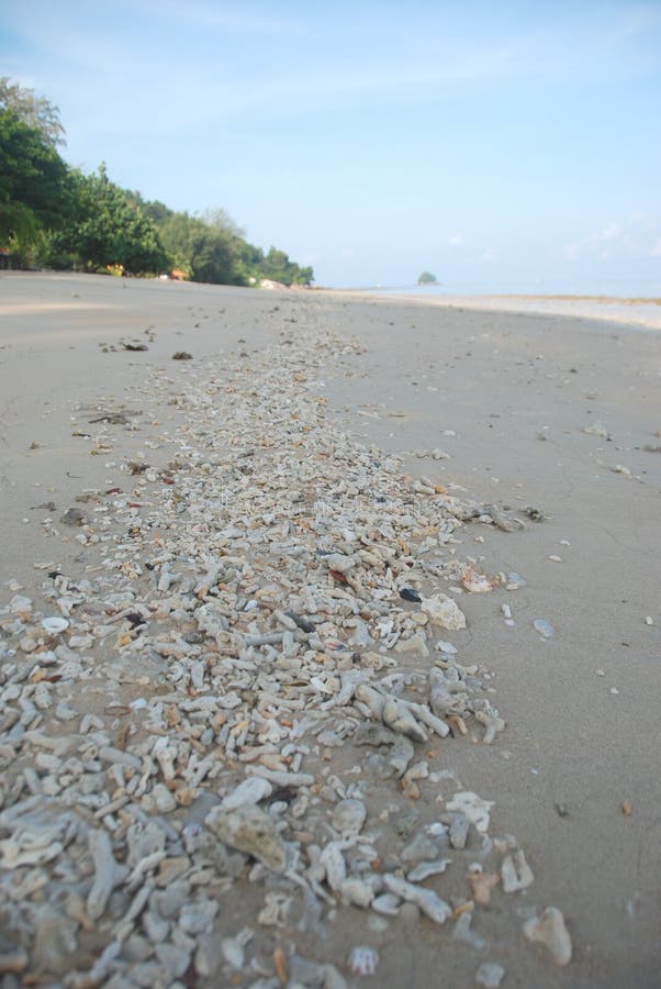 Playa De Tekek Con Los Corales Muertos Foto de archivo - Imagen de ...