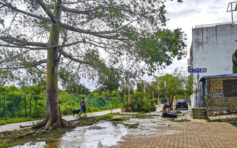 Hurricane 2021 Playa Del Carmen Mexico Destruction Devastation Broken ...