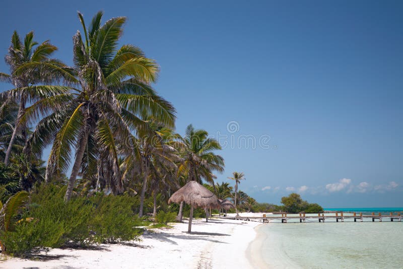 Playa en el Isla Contoy foto de archivo. Imagen de viaje - 10607694