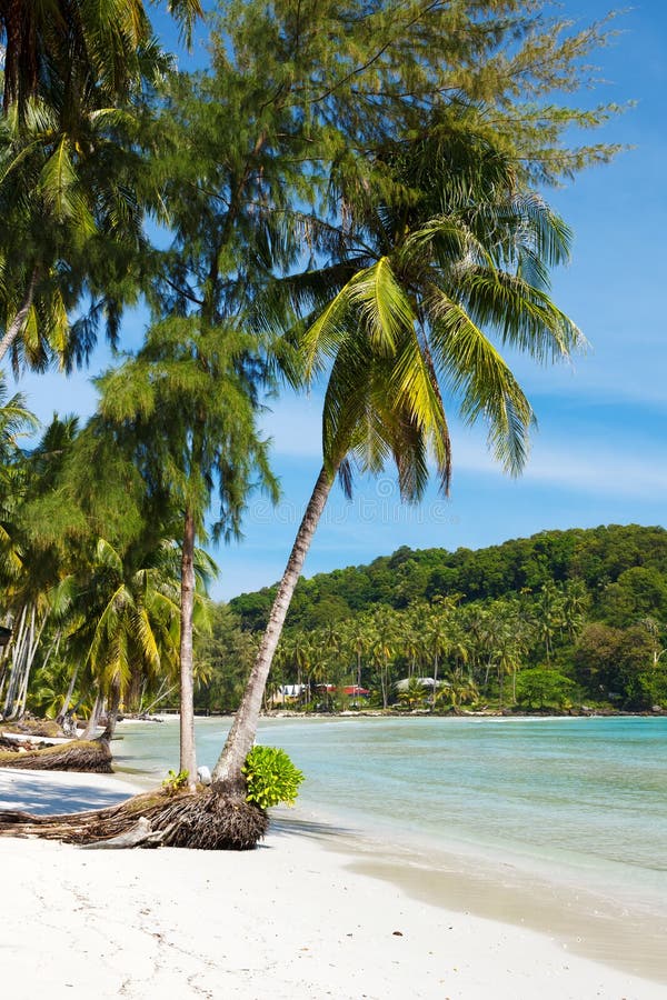 Playa En La Isla De Kood De La KOH Imagen de archivo - Imagen de cubo ...