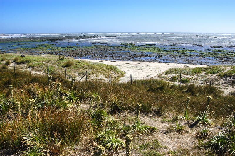 Playa En La Moca De La Isla Foto de archivo - Imagen de cubo, costa ...