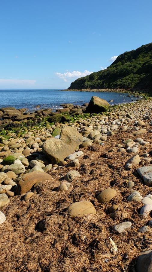 Playa rocosa 1 foto de archivo. Imagen de secado, sunlit - 100105456