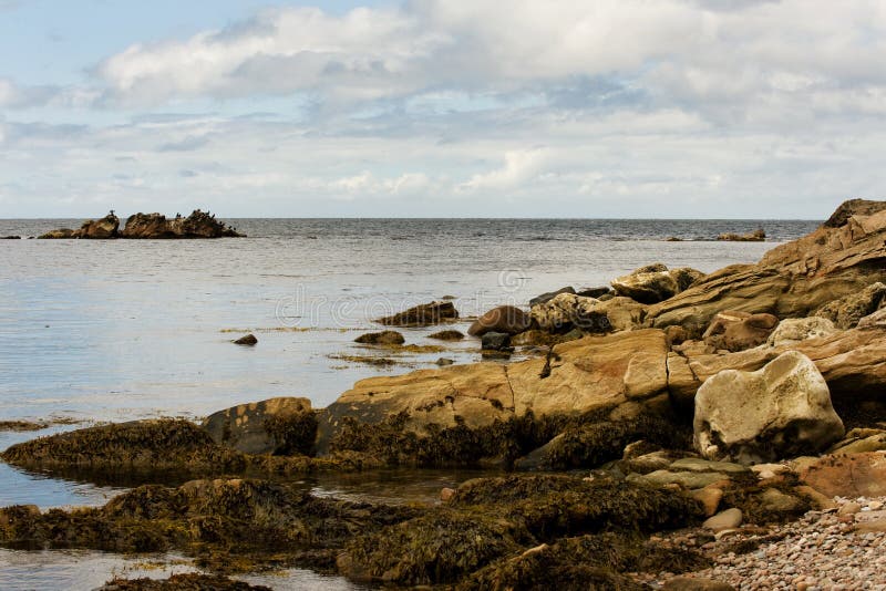 Playa rocosa foto de archivo. Imagen de océano, playa - 16271108
