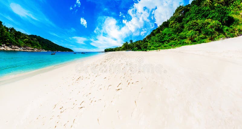 Playa soleada foto de archivo. Imagen de amanecer, verano - 39532206