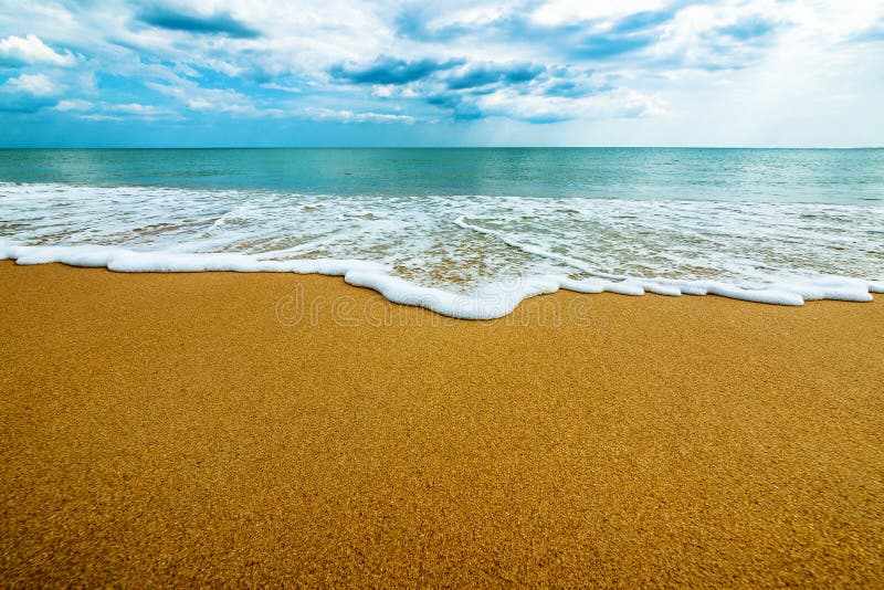 Playa soleada foto de archivo. Imagen de planta, horizonte - 39535242