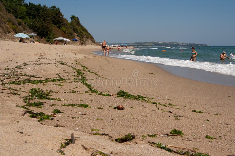 Playa Soleada Con Las Algas Lanzadas En La Arena Foto editorial ...