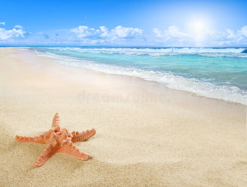 Playa Soleada Con Las Estrellas De Mar Foto de archivo - Imagen de azul ...