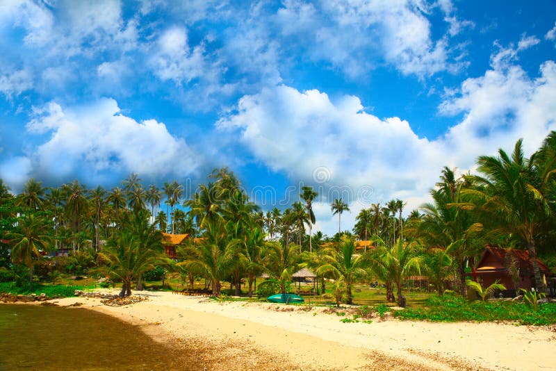 Playa tropical foto de archivo. Imagen de recurso, apacible - 10304938