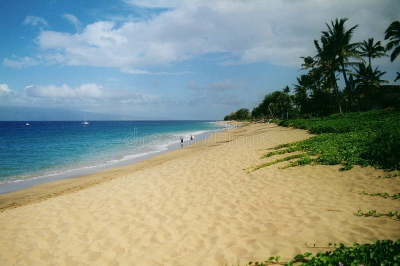 Playa tropical foto de archivo. Imagen de playa, ondas - 10704562