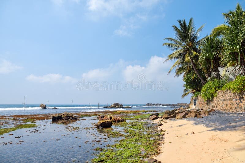 Playa tropical foto de archivo. Imagen de recurso, isla - 125686400