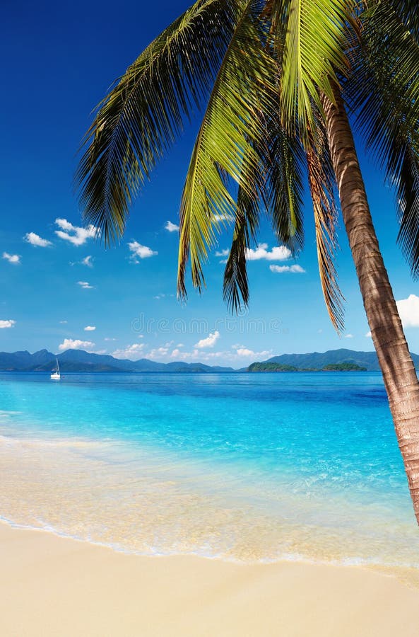 Playa tropical imagen de archivo. Imagen de hermoso, nube - 16806269