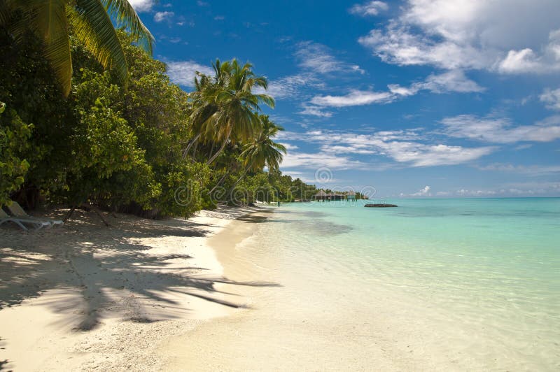 Playa tropical foto de archivo. Imagen de océano, bueno - 27753392