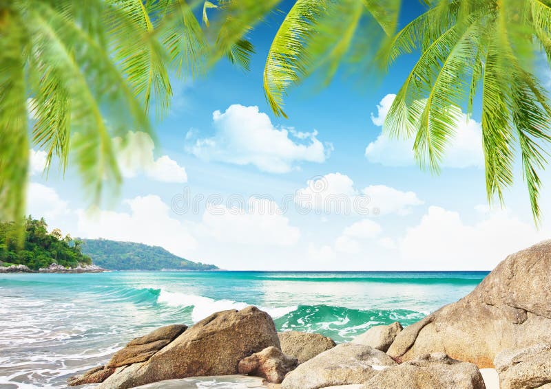 Playa tropical foto de archivo. Imagen de azul, tropical - 40295122