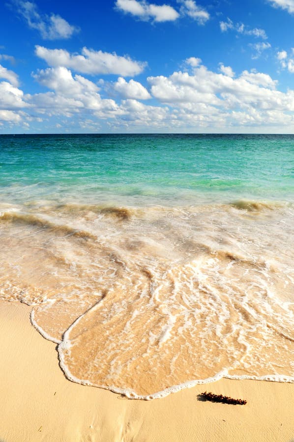 Playa tropical foto de archivo. Imagen de playas, nublado - 4903428