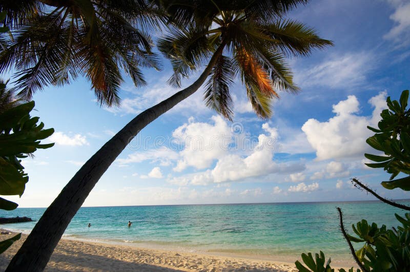 Playa tropical imagen de archivo. Imagen de playa, anaranjado - 4944381