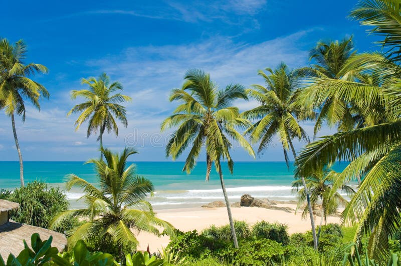 Playa tropical imagen de archivo. Imagen de azul, exterior - 5502911