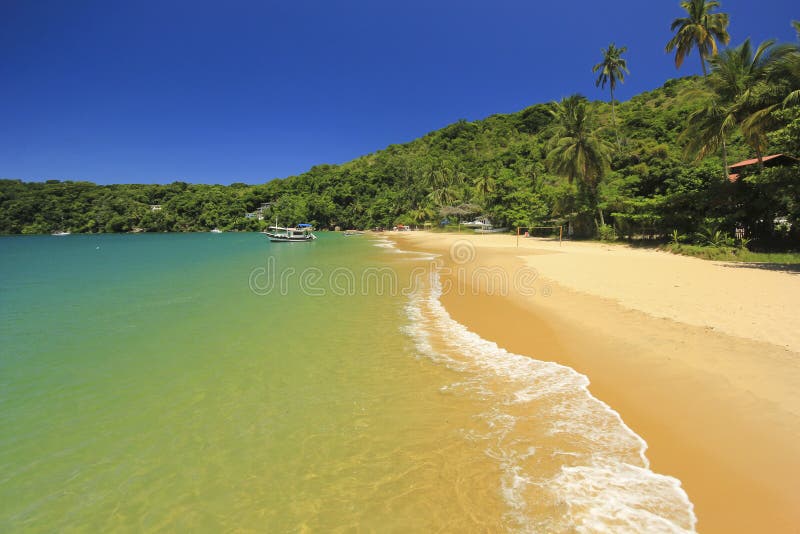 Playa Tropical Hermosa Con Agua Verde Foto de archivo - Imagen de ...