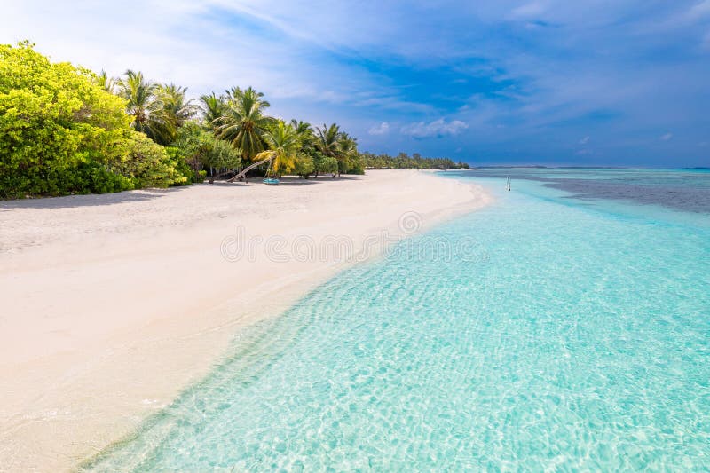 Playa Tropical Mar Azul Y Palmeras Y Arena Blanca En La Isla De ... Playa Tropical Mar Azul Y Palmeras Y Arena Blanca En La Isla De ...