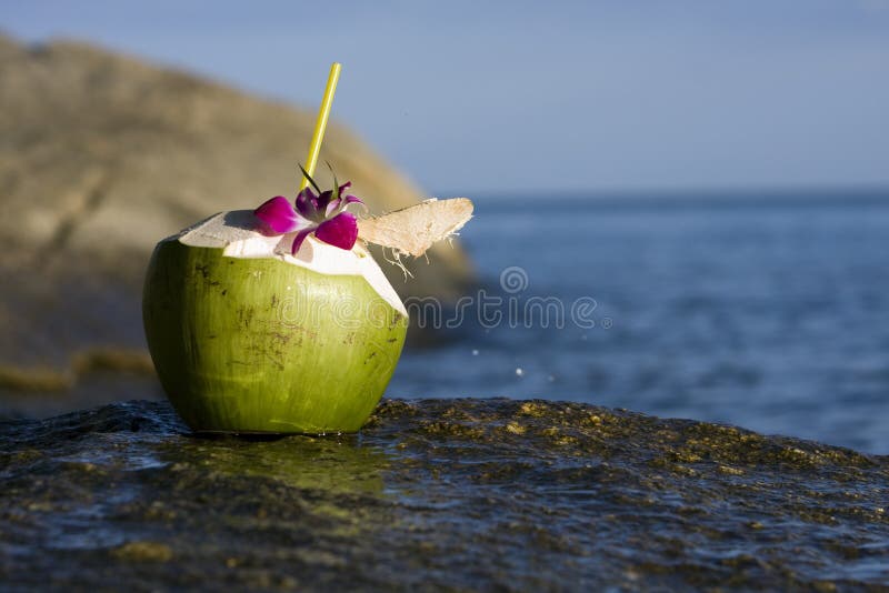 Playa y coco imagen de archivo. Imagen de roca, pesca - 26544969