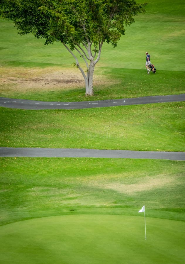 Player on golf course editorial image. Image of older - 54411475