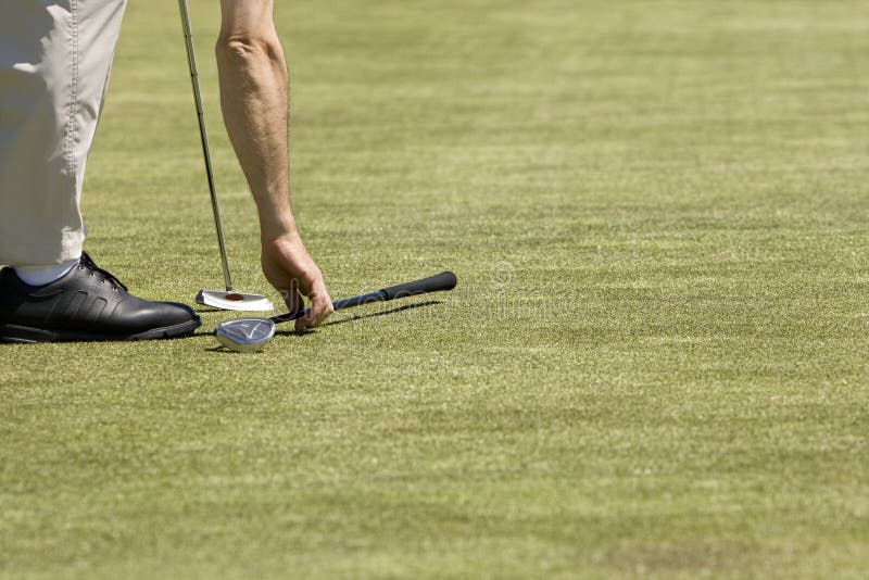Player Pick Up a Drive on a Green Golf Course Stock Image - Image of ...