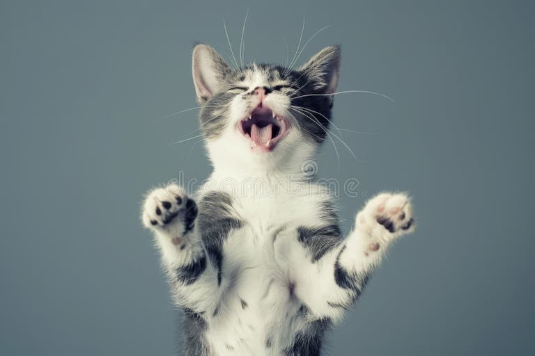 Leaping Feline Stock Illustrations – 660 Leaping Feline Stock ...