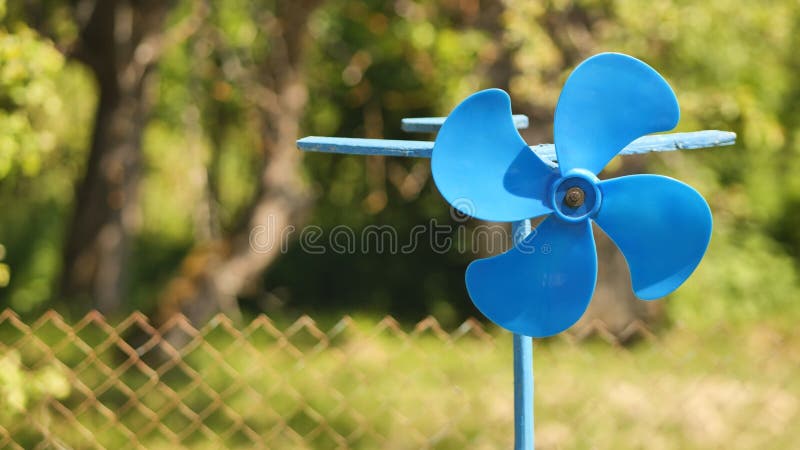 Playful and Whimsical Atmosphere in a Backyard Setting Created by a ...