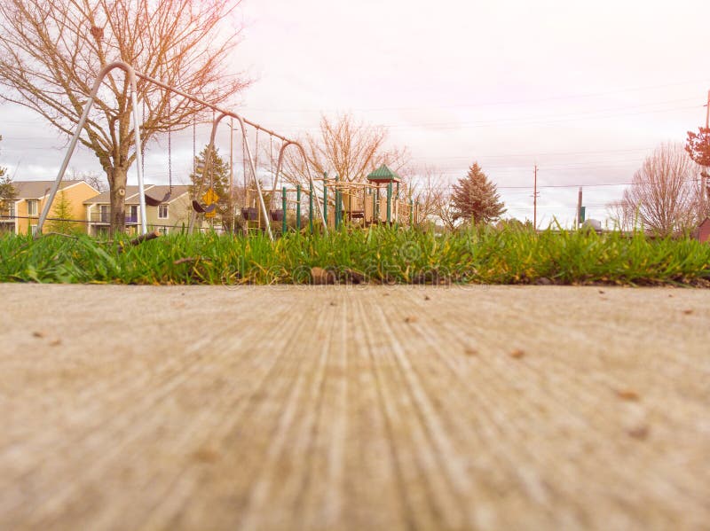 Bottom Angle with Landscape View of Green Lime Tree Branch with a White ...