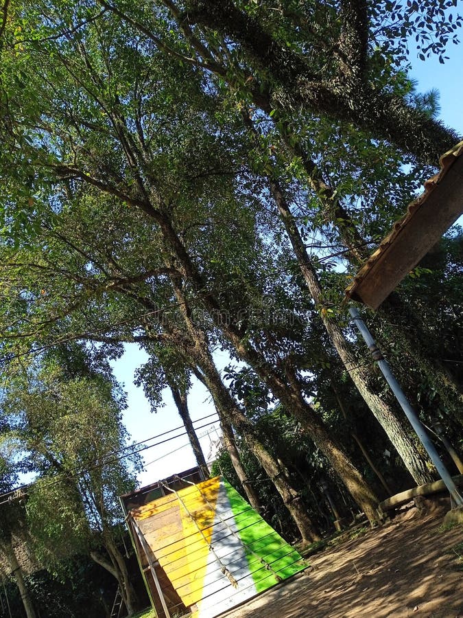 Playground in the Middle of Cool Trees with Bright Sun Stock Image ...