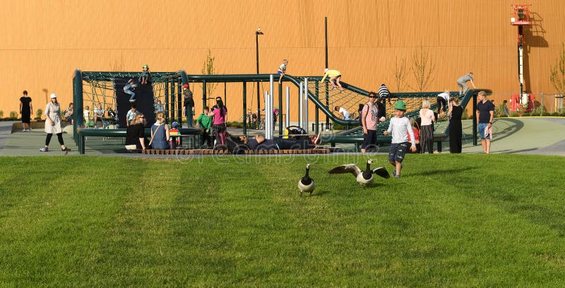 Helsinki Oodi Central Library Interior B&W Editorial Image - Image of ...