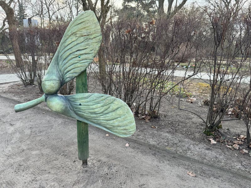 A Playground in the Park with an Interactive Board about Trees and ...