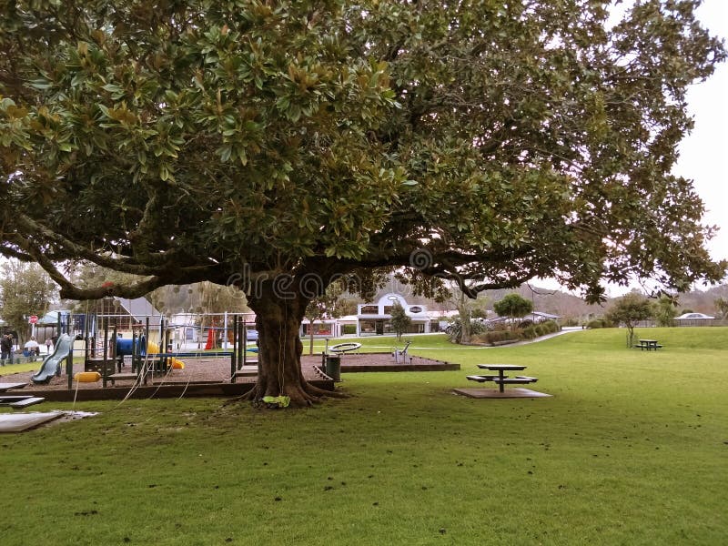 Playground Under the Big Tree Stock Image - Image of place, blue: 184815651