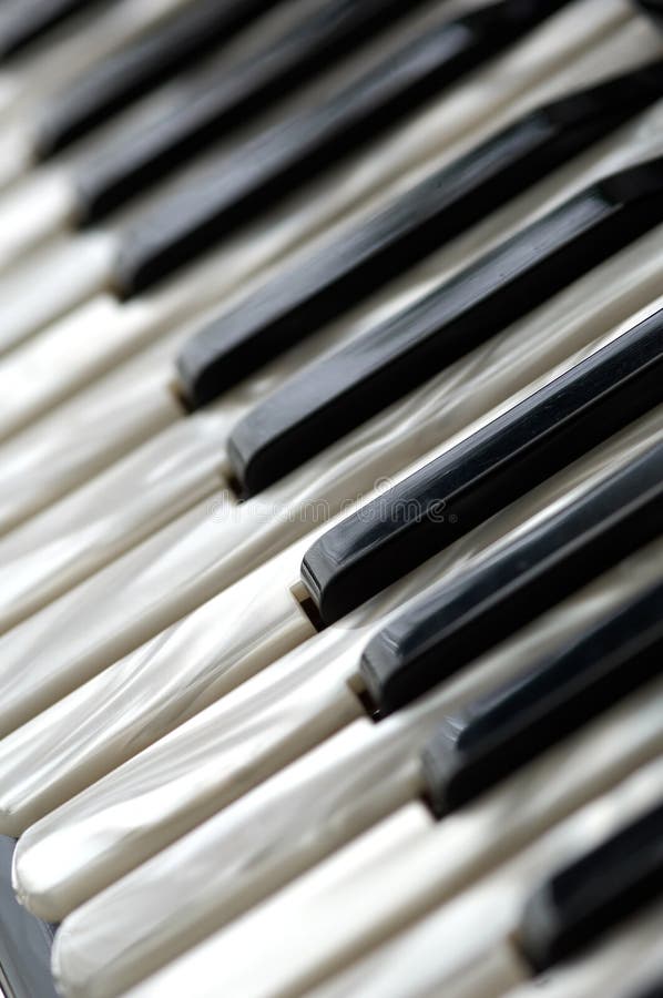Playing accordion stock photo. Image of orchestra, music - 2031040