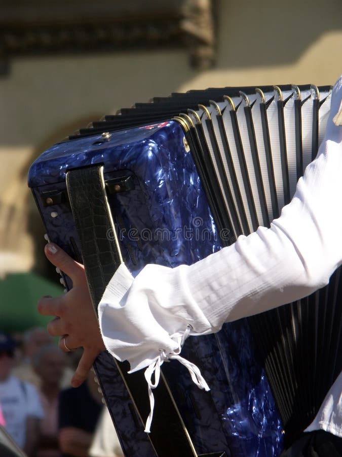 Accordion player stock image. Image of elder, activity - 138393