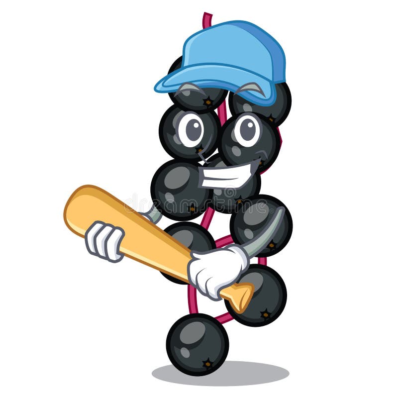 Playing Baseball Eldeyberry Fruit Above Wooden Table Cartoon Stock ...