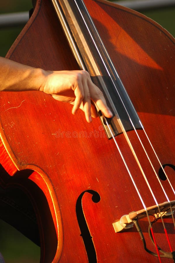 Playing bass stock image. Image of bass, strum, performance - 1177639
