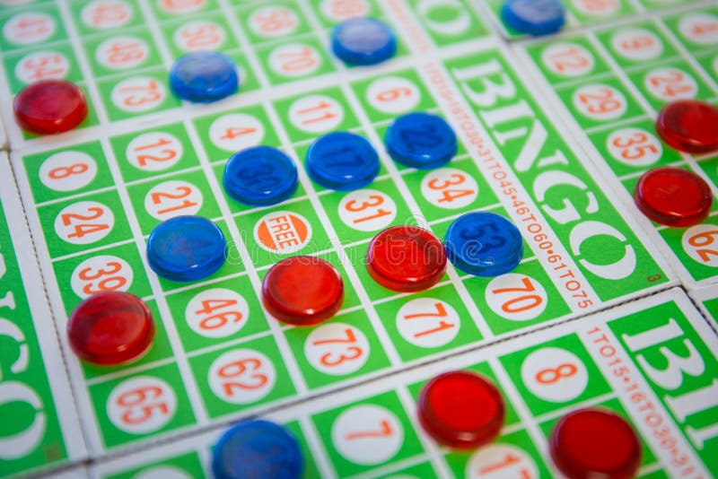 Playing bingo cards game stock photo. Image of addictive - 64220706