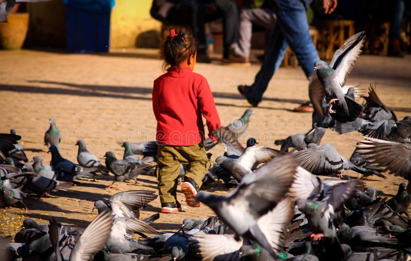 Playing with Birds editorial image. Image of cool, adorable - 73443485