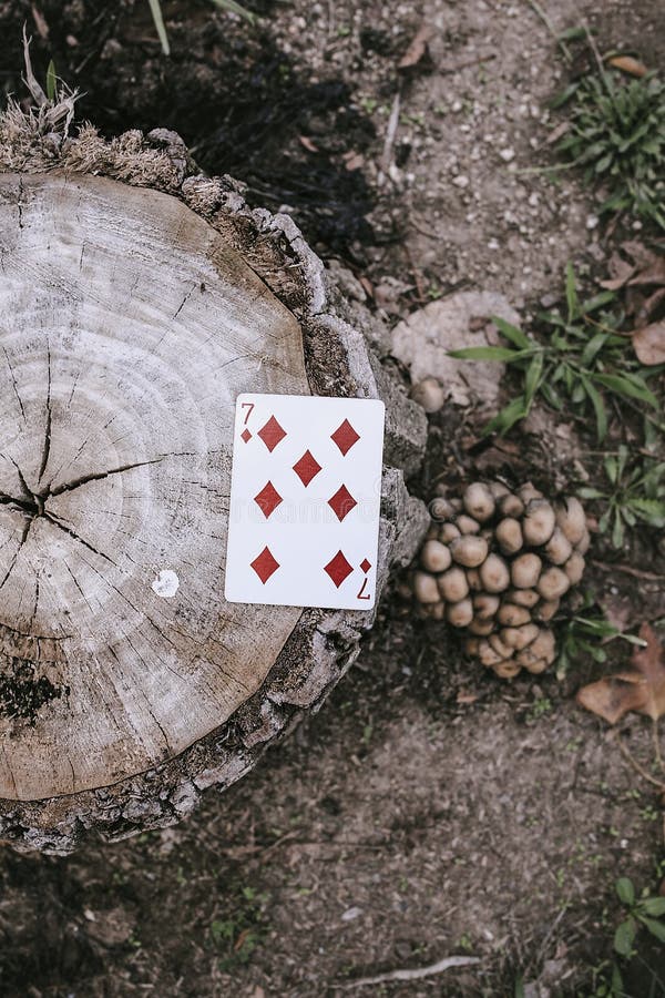 Playing Cards in the Street Stock Photo - Image of city, dirty: 100015794