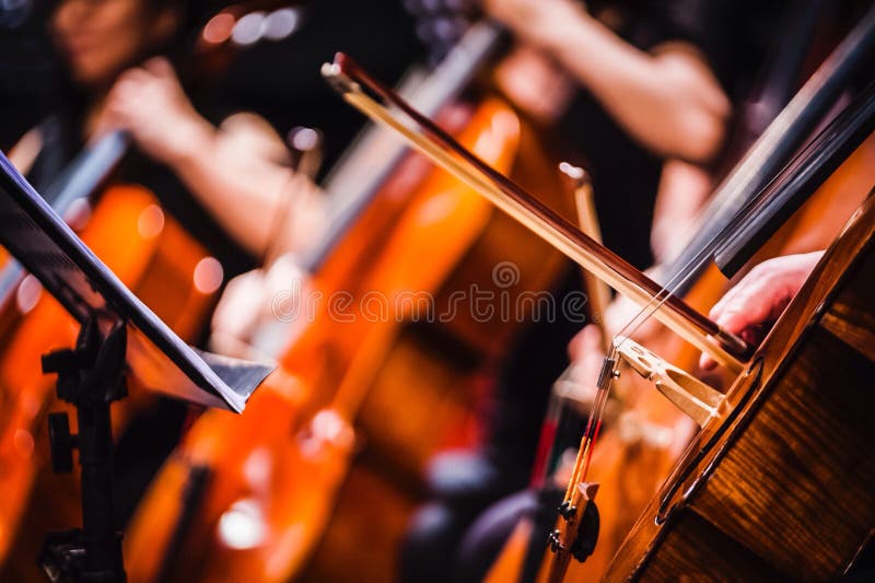 122 Chello Stock Photos - Free & Royalty-Free Stock Photos from Dreamstime