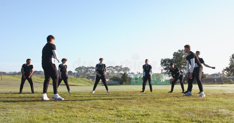 Playing Cricket Outdoors, Group of Men Practicing on Grassy Field Stock ...