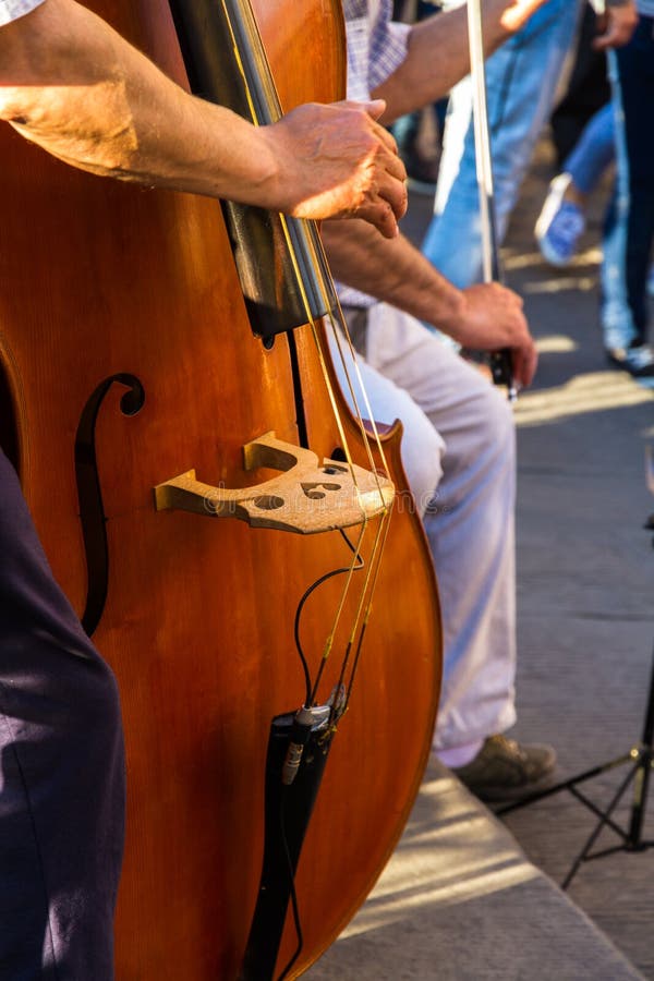 Playing Double Bass Outside Stock Photo - Image of stringed, close ...