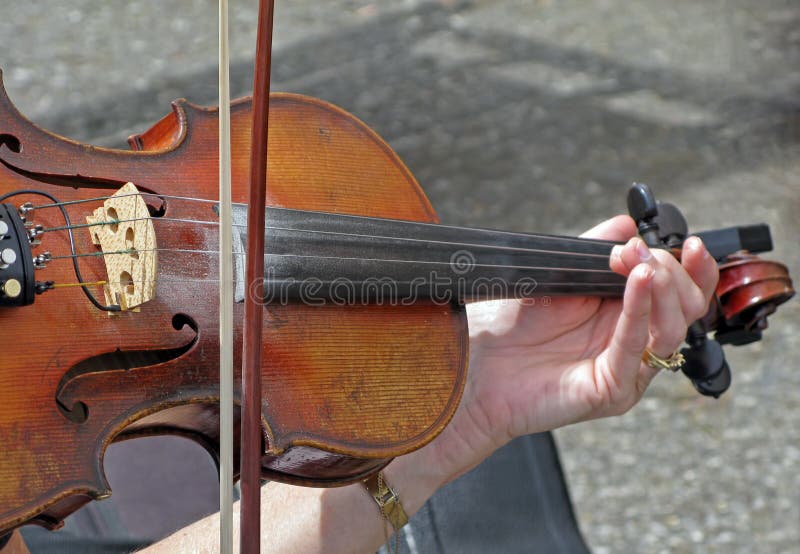 27,401 Fiddle Stock Photos - Free & Royalty-Free Stock Photos from ...