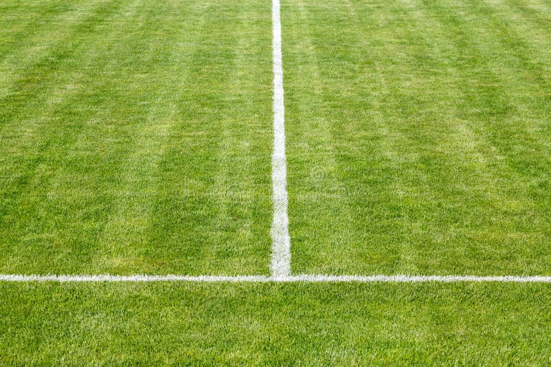 Playing field stock photo. Image of green, land, playing - 26329512